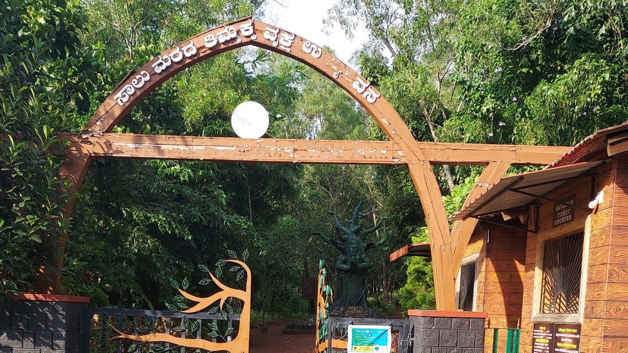 Salu Marada Thimmakka Tree Park Udupi | Near TAPMI Campus Badagabettu ...