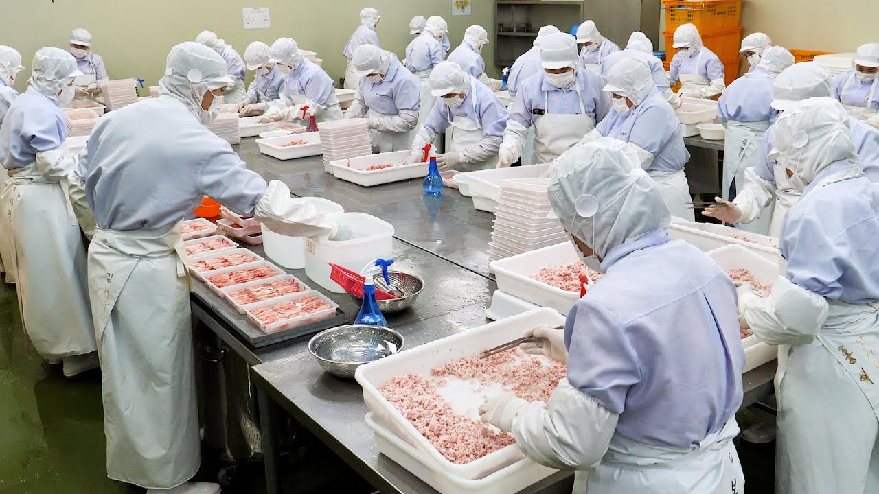 게 신기합니다! 역대급 위생! 하루 120,000만마리 게살 바르는 대량가공 공장 red snow crab processing ...