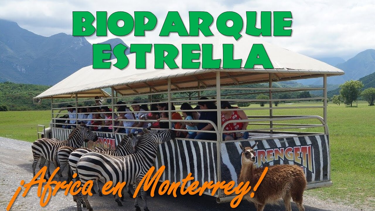 ¡FANTÁSTICO Bioparque Estrella! ¡El Parque Temático Safari mas grande ...