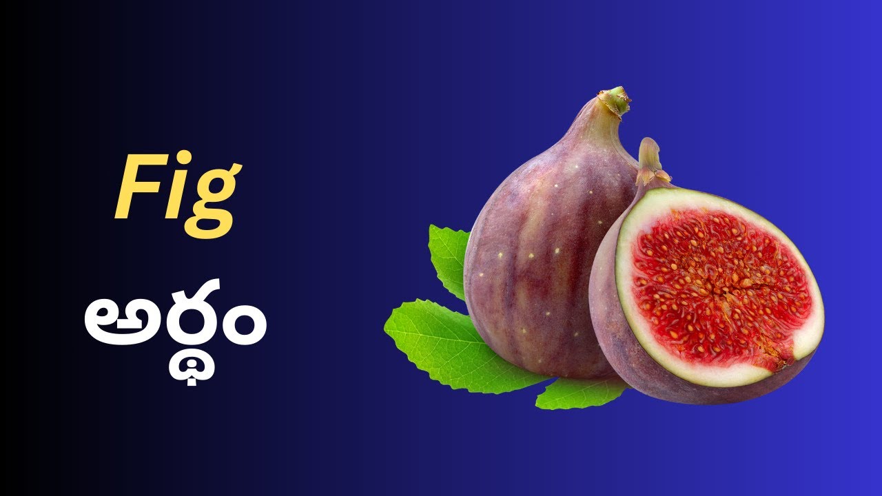 Fig Meaning in Telugu with Examples | Fig తెలుగు లో అర్థం - YouTube
