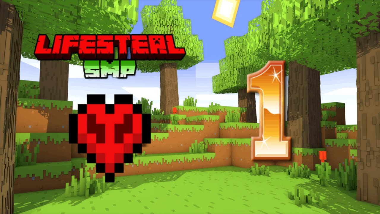 So We Played LIFE STEAL Smp | LifeSteal ep1 - YouTube