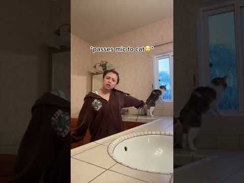 my cat slayed lowkey ||Samantha Eve||