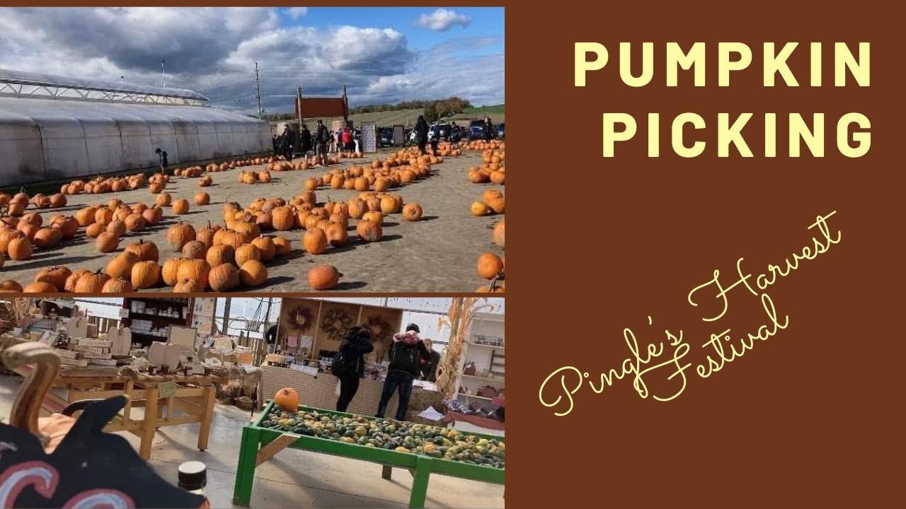 Pingle’s Farm Harvest Festival - YouTube