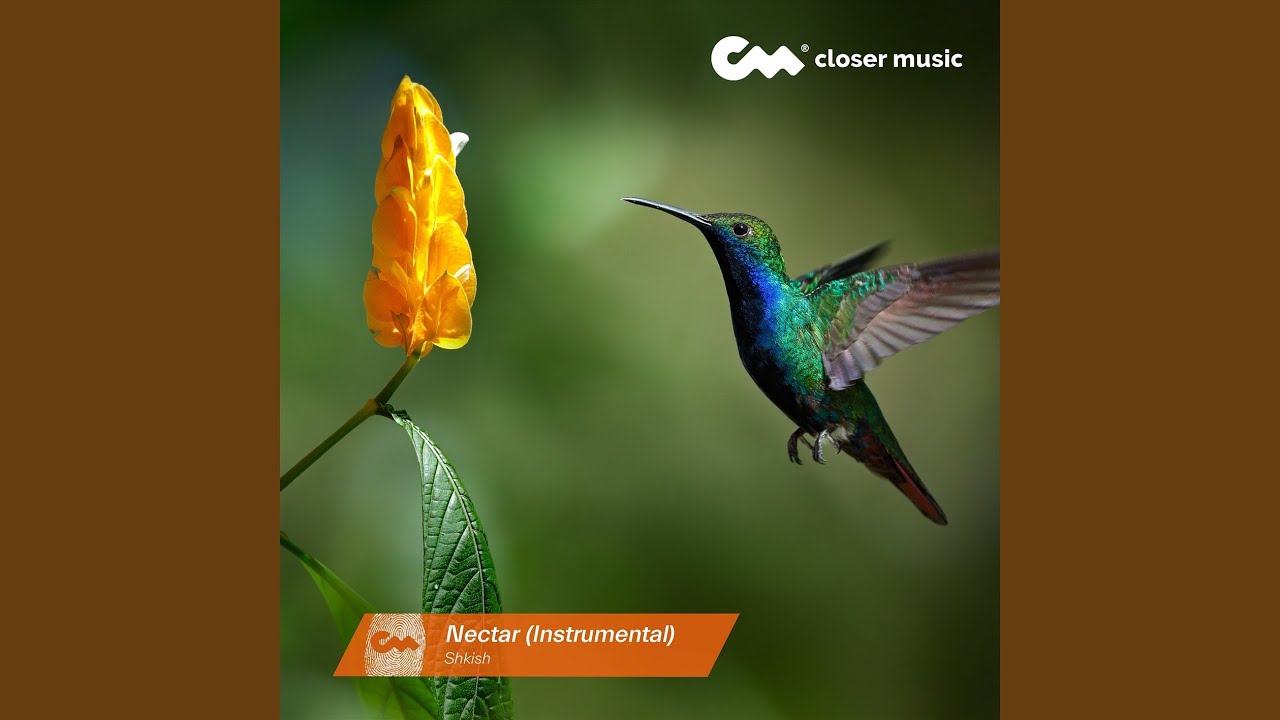 Nectar (Instrumental) - YouTube