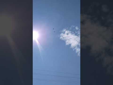 Güneşli hava da uçum tayfası