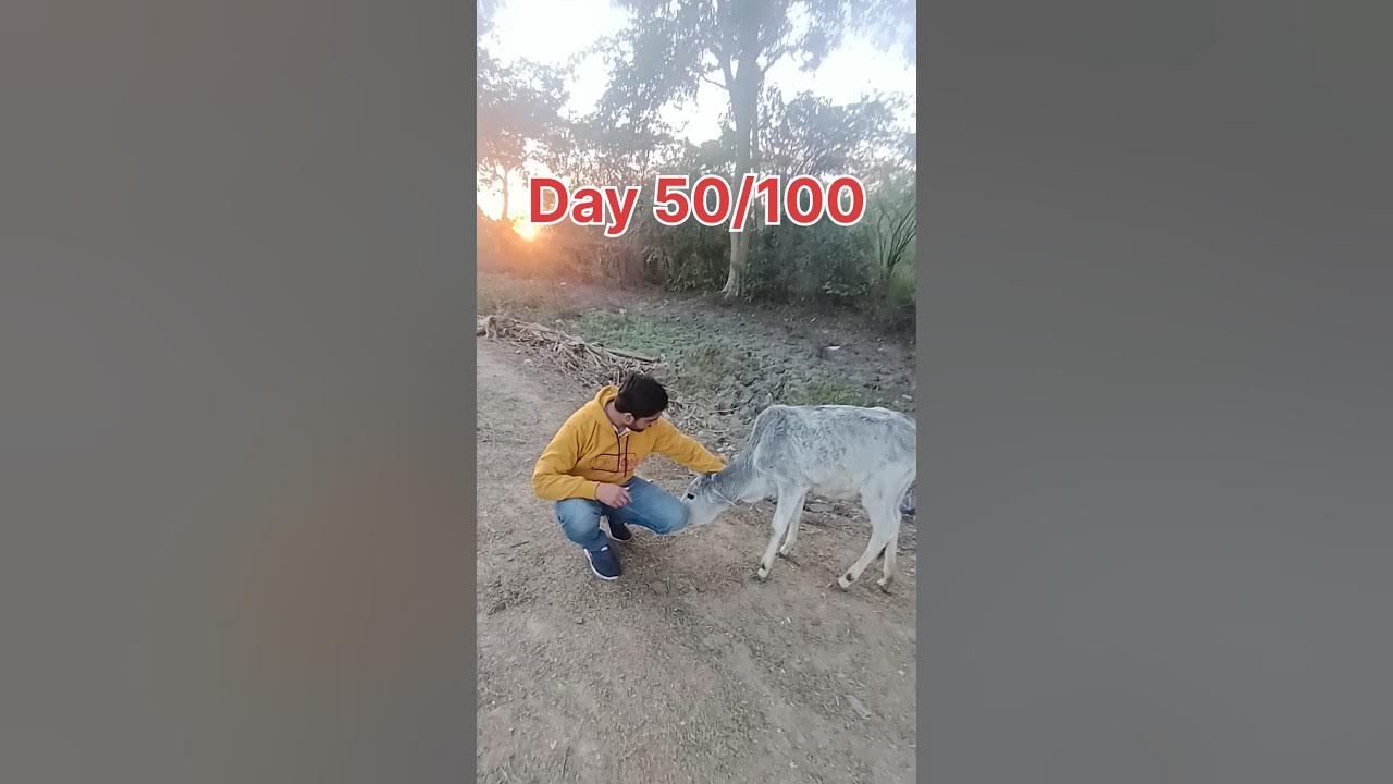 Day 50/100 Challenge #viral #shorts #day50 #youtube #sanatanichallenge #sanatanisiddhanttripathi ...