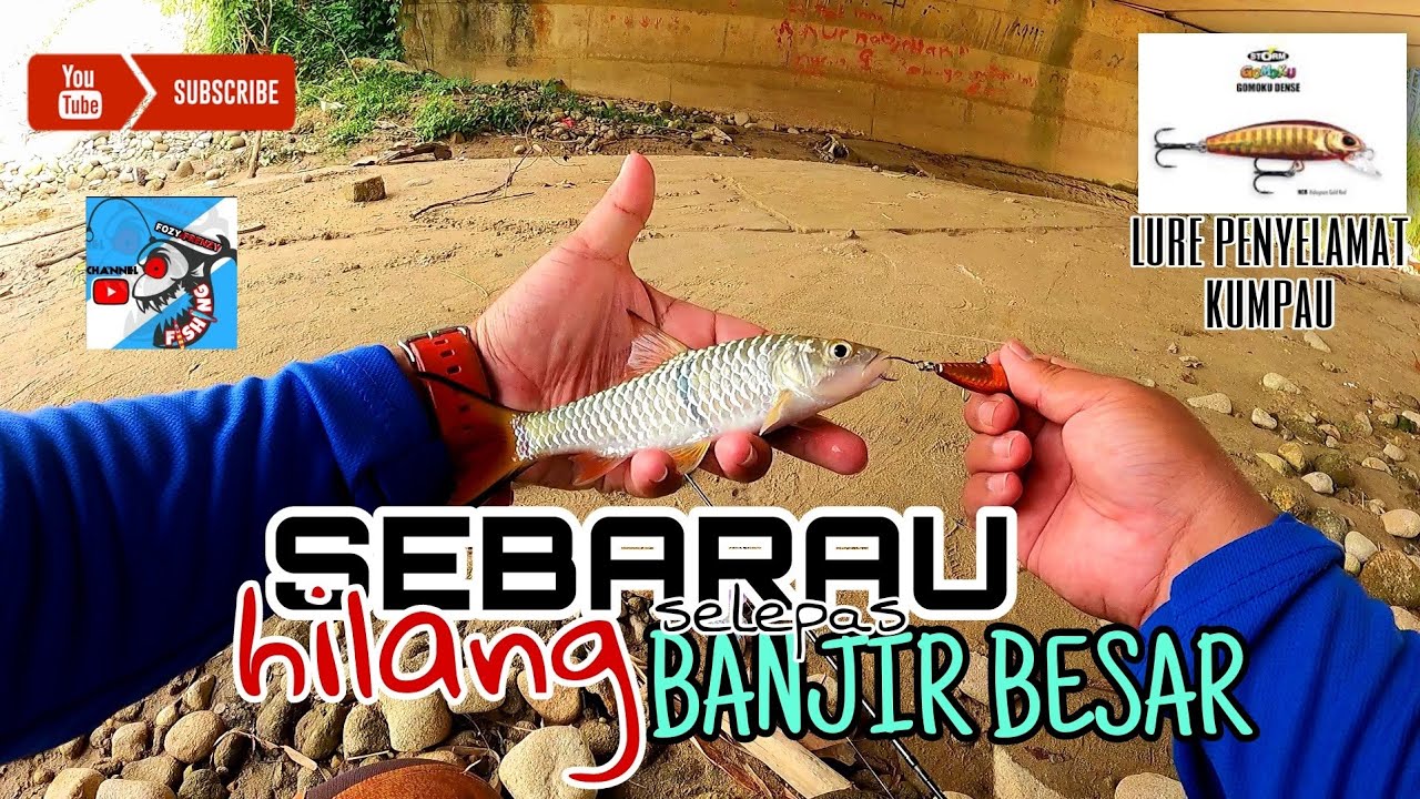 IKAN SEBARAU | 8️⃣9️⃣ | ULTRALIGHT VS GOMOKU DENSE - YouTube