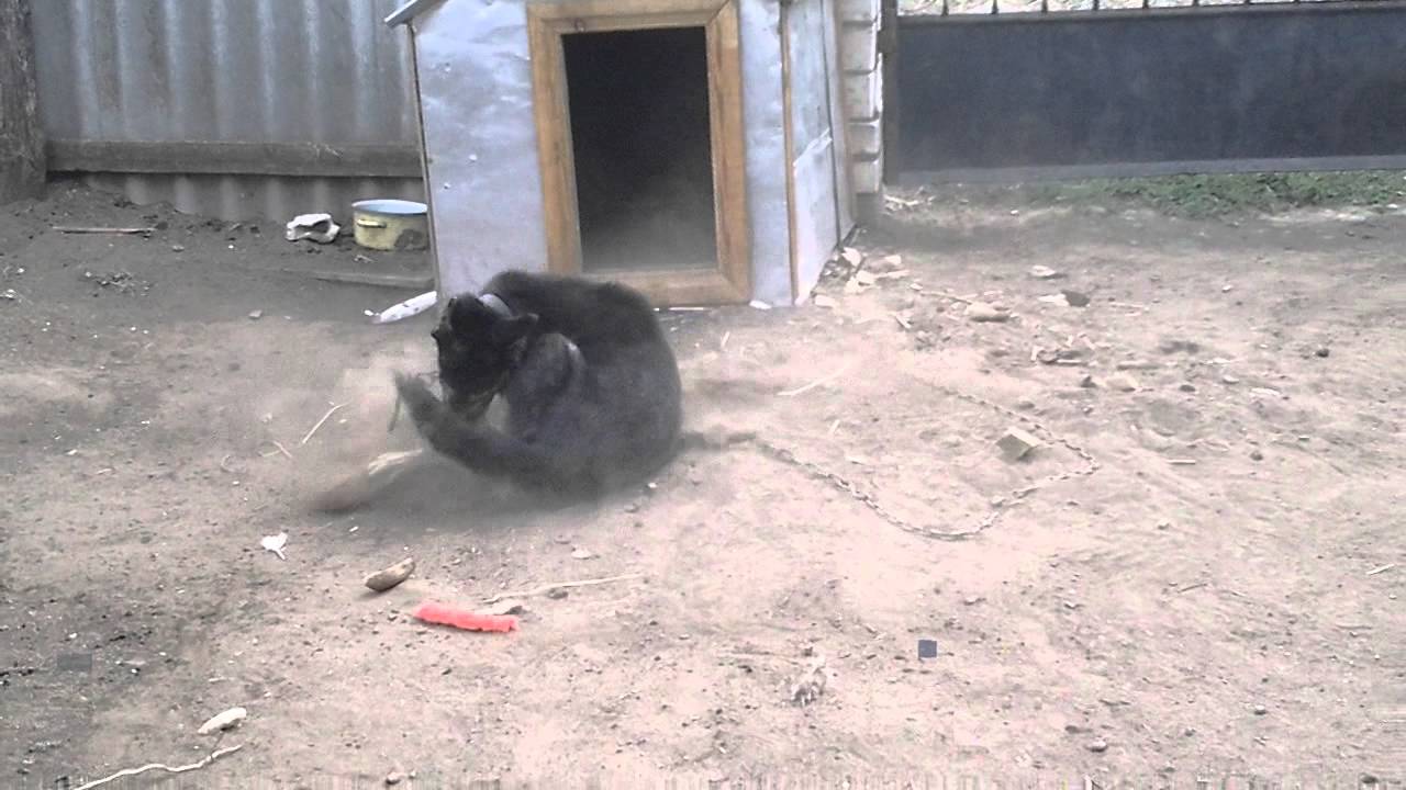 20140827 1237271 - YouTube