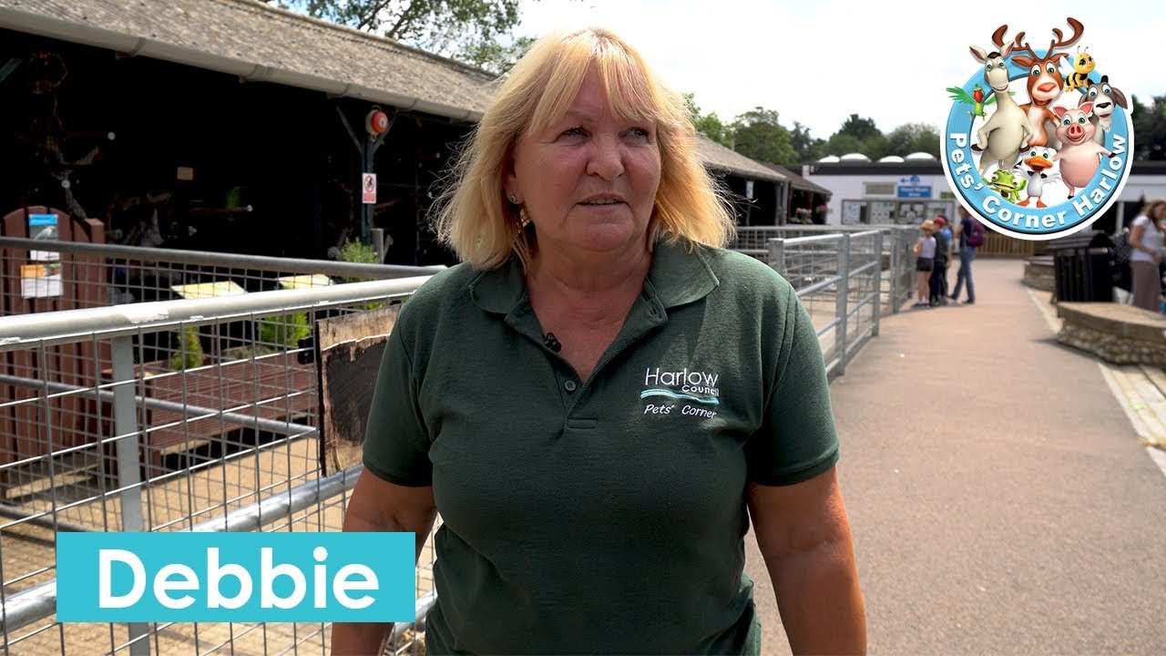 Meet The Team: Debbie - YouTube