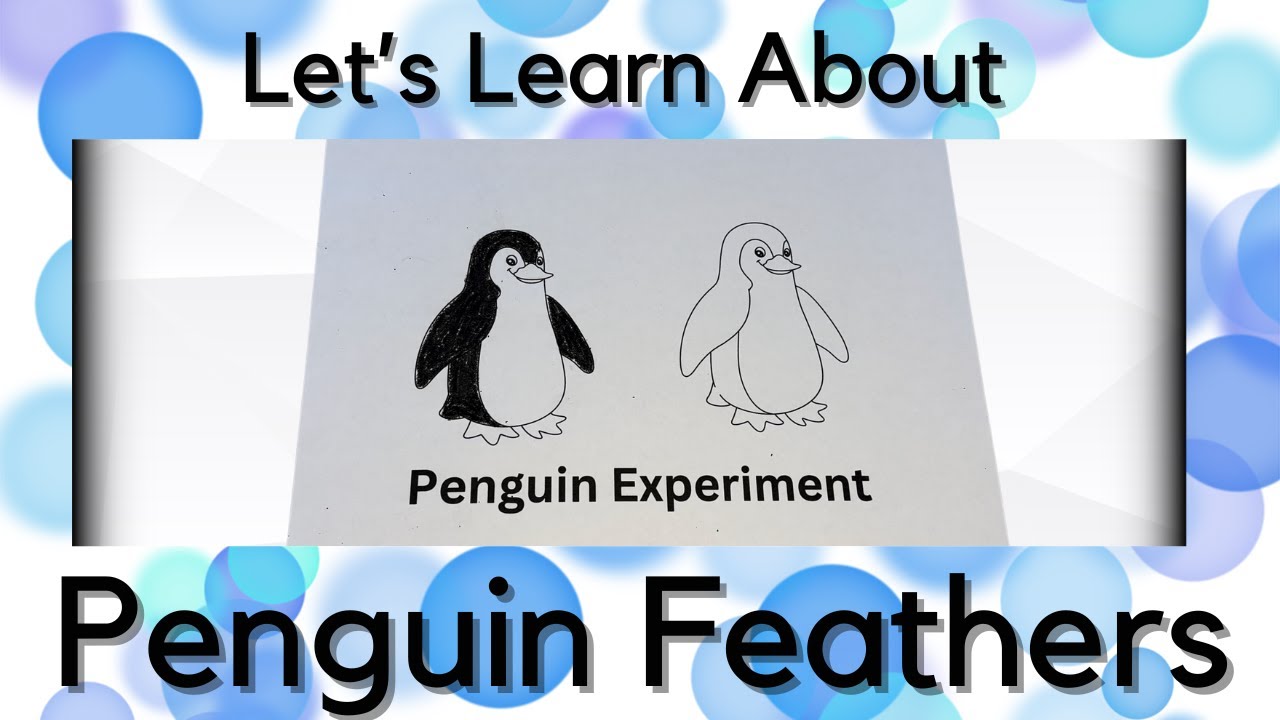 Penguin Magic: How Feathers Defend Against Water and Cold | Fun ...