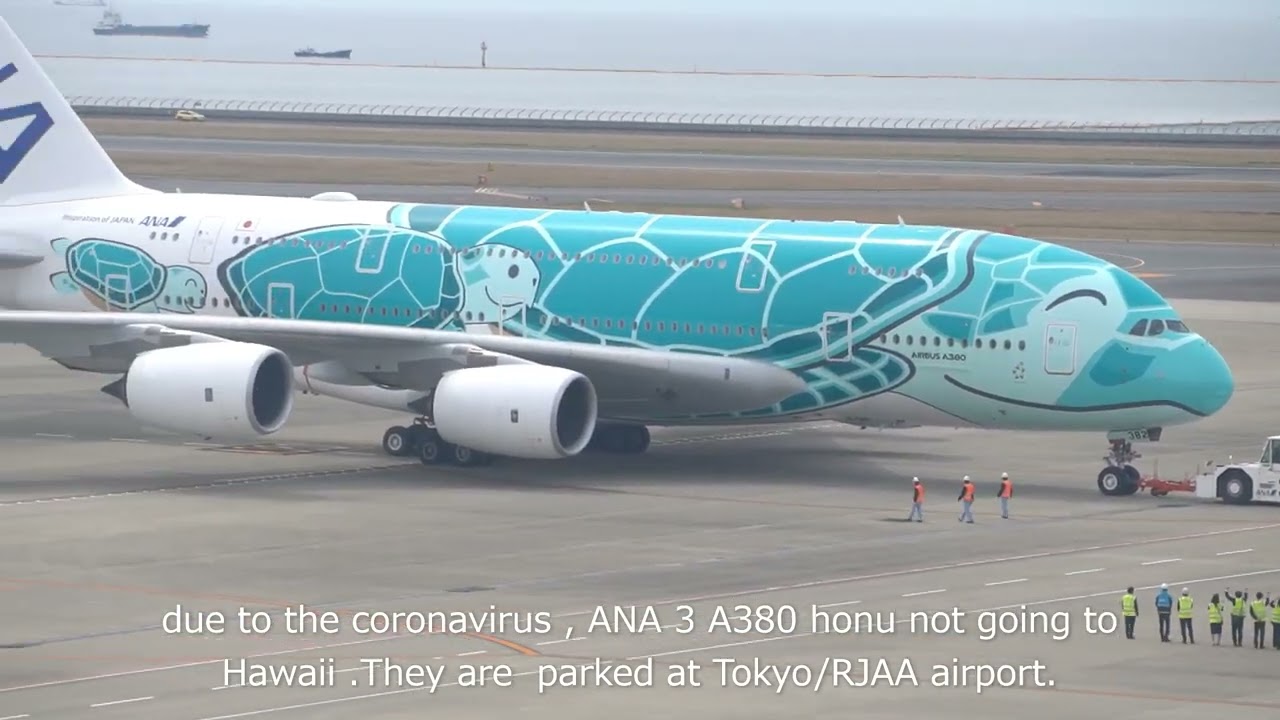 ANA Flying HONU special flight /フライングホヌ - YouTube