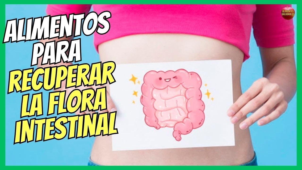 🔴 ALIMENTOS PARA RECUPERAR LA FLORA INTESTINAL DAÑADA 🌈 - YouTube