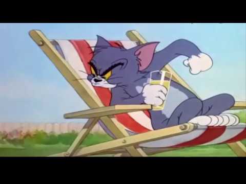 tom and jerry funny whatsapp status video