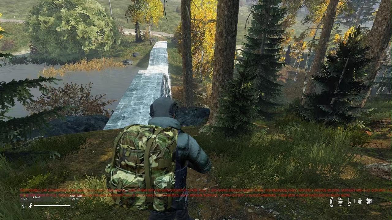 Best Survival Guide on Dayz?! - YouTube