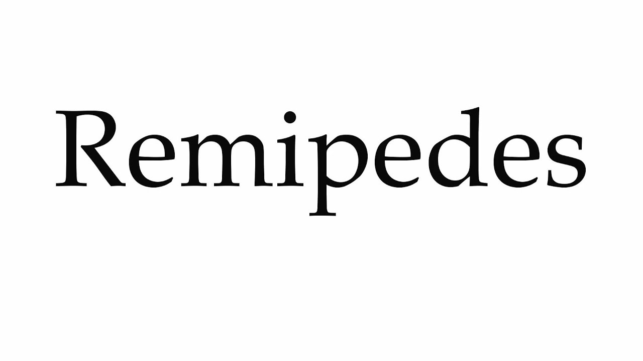 How to Pronounce Remipedes - YouTube