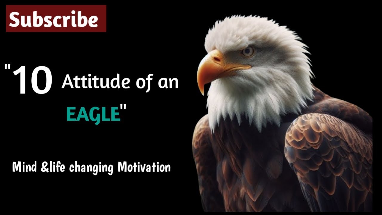 10 Secrets Attitude of an Eagles for Life Success and limiting beliefs ...