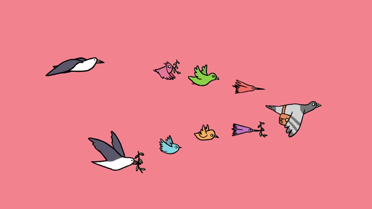 Imagine Book | Trailer - YouTube