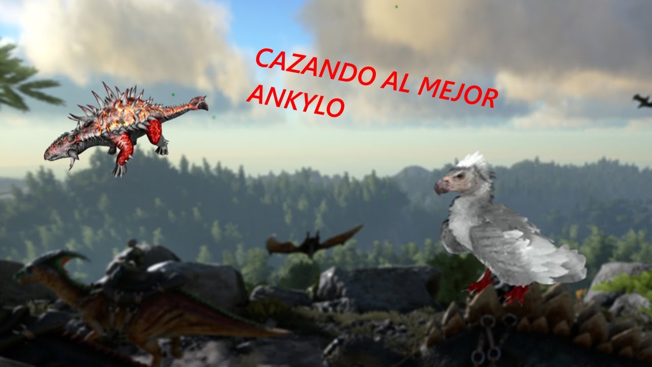 MI NUEVO ANKYLO - YouTube