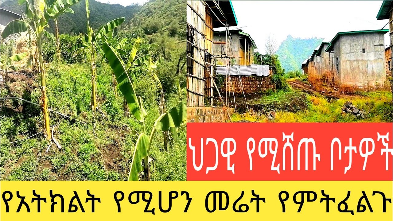 የሚሸጥ ቦታ ለምትፈልጉ ህጋዊ ካርታና ፕላን ያላቸው የአትክልት እርሻ ለምትፈልጉ Youtube