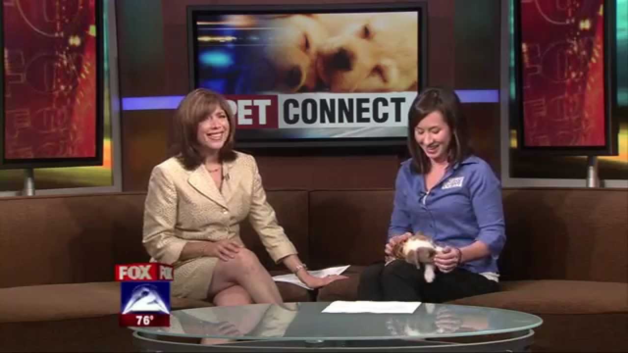 WJBK DT 2 1 2009 09 14 Sherry Margolis - YouTube
