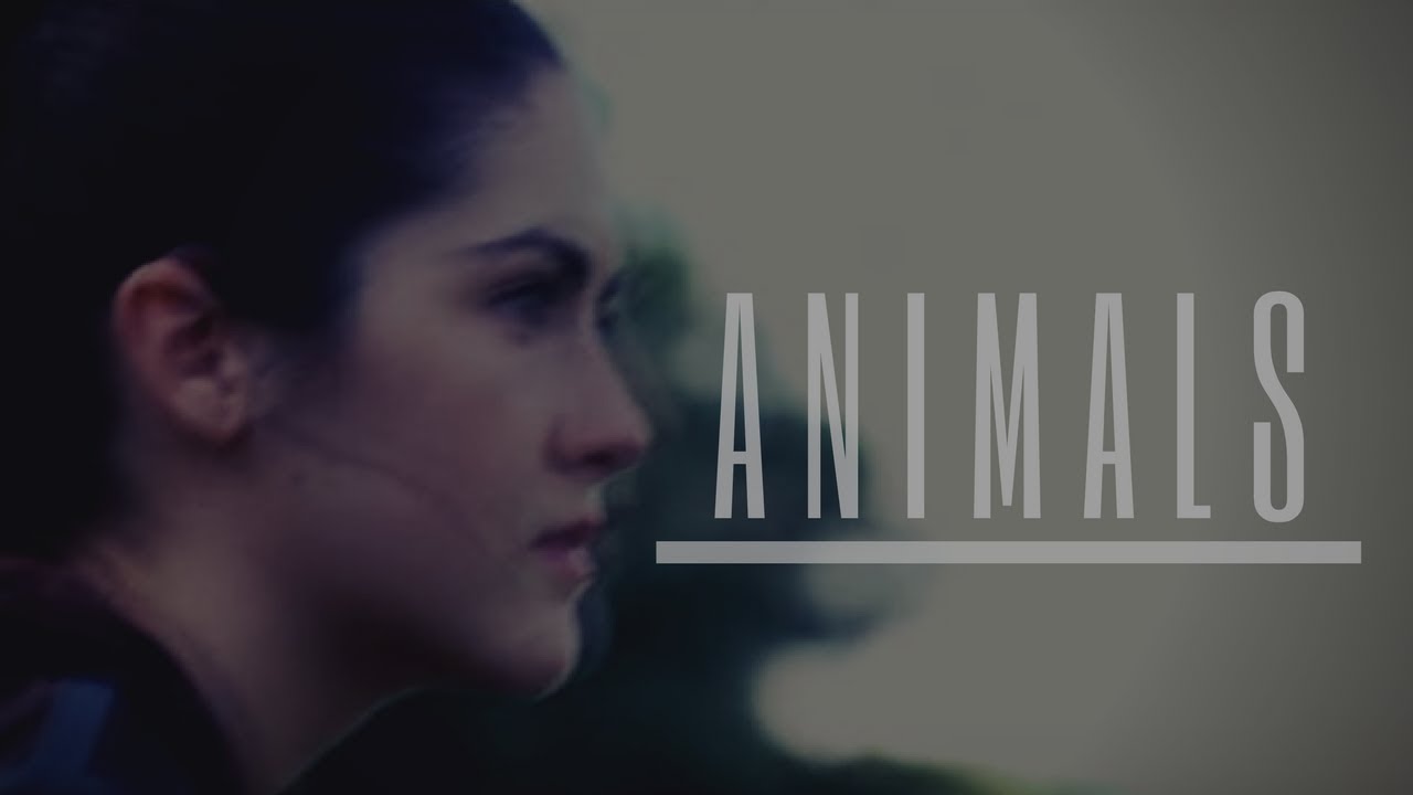 || ANIMALS || The Hunger Games (Live Featere) [HD] - YouTube