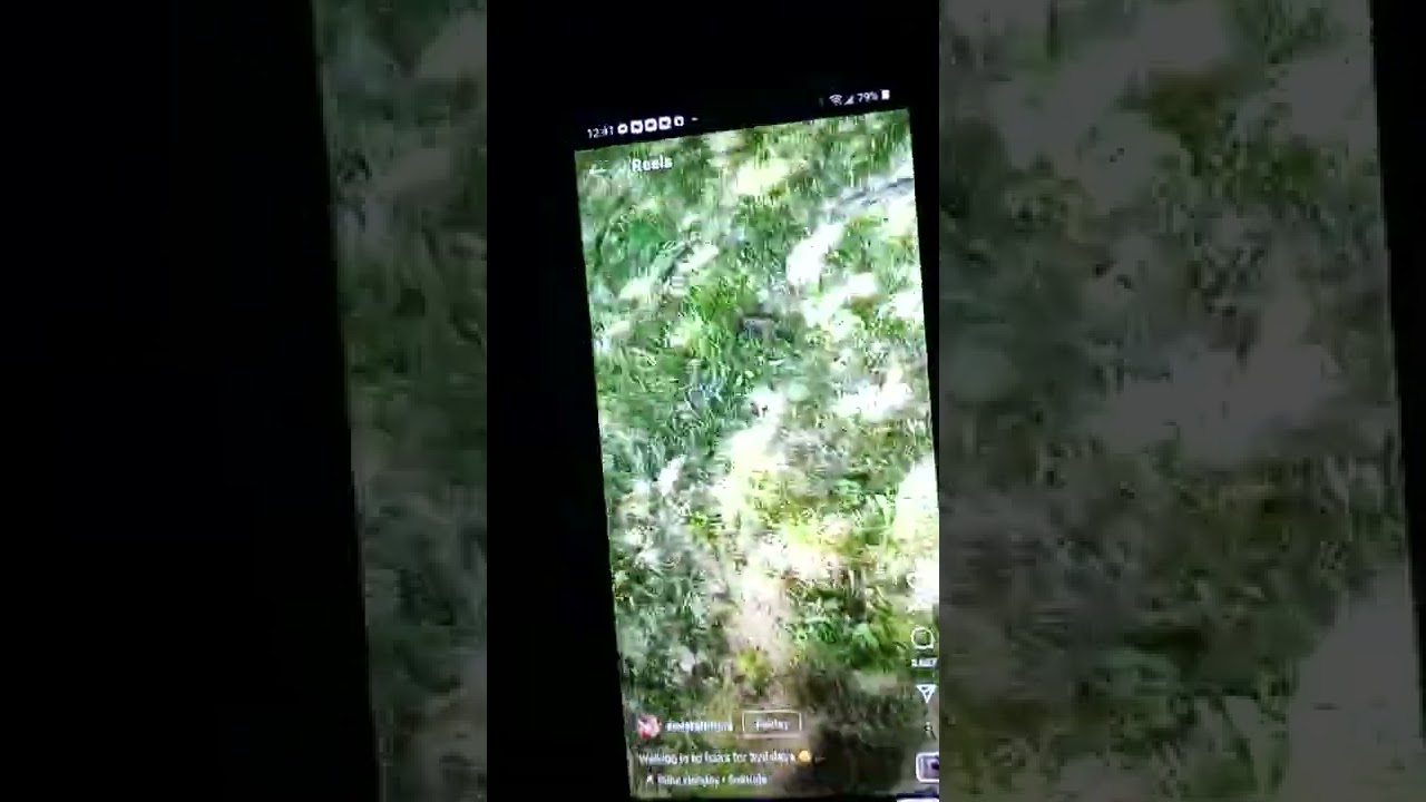 No comment..... speechless - YouTube