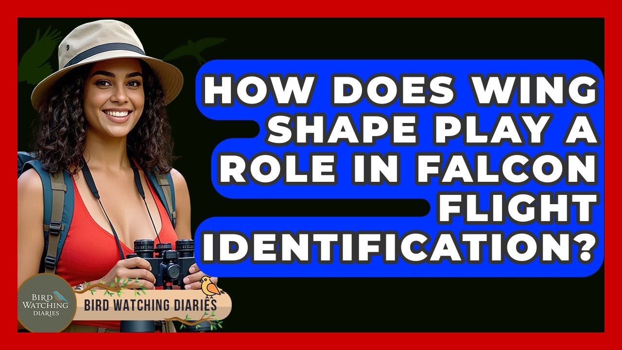 How Does Wing Shape Play A Role In Falcon Flight Identification? - Bird ...