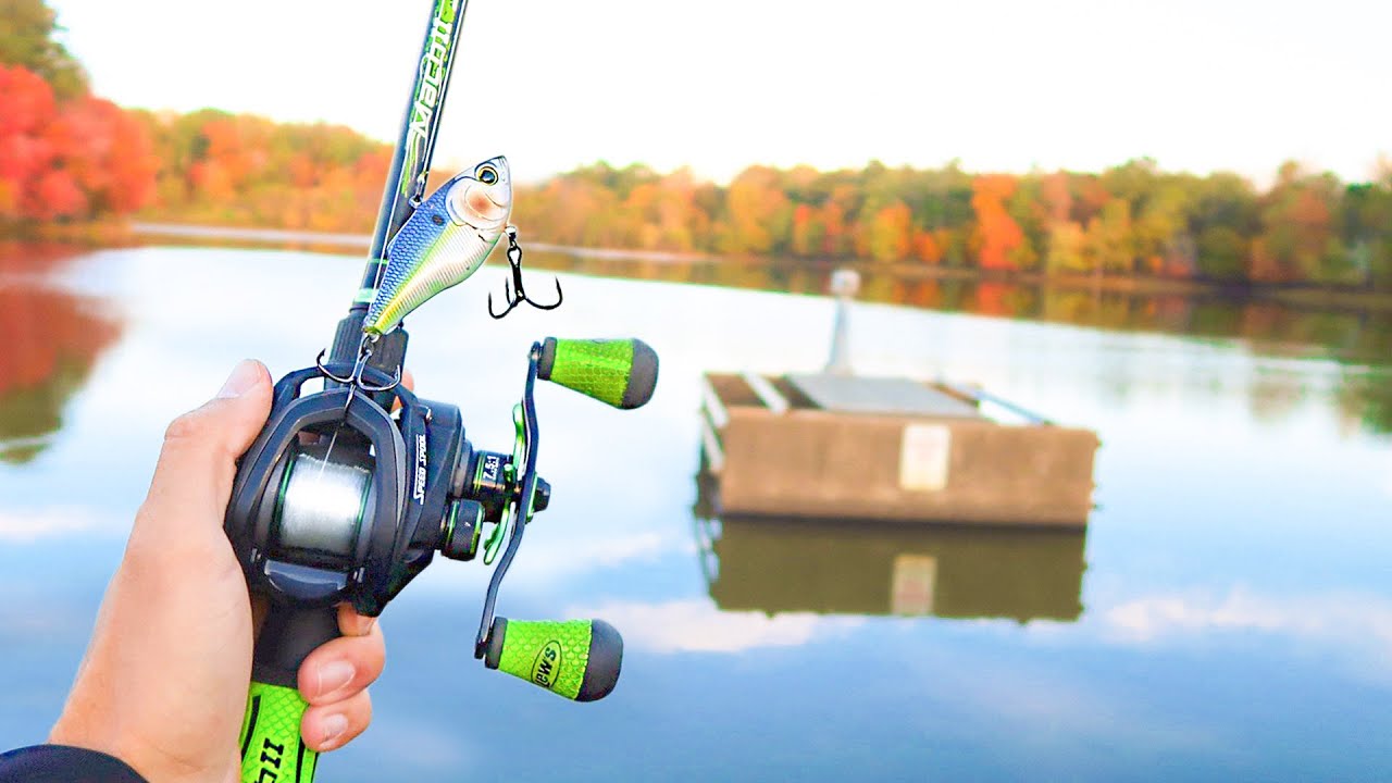 Catching GIANT Bass in CLEAR Water! (Lake Fishing) - YouTube