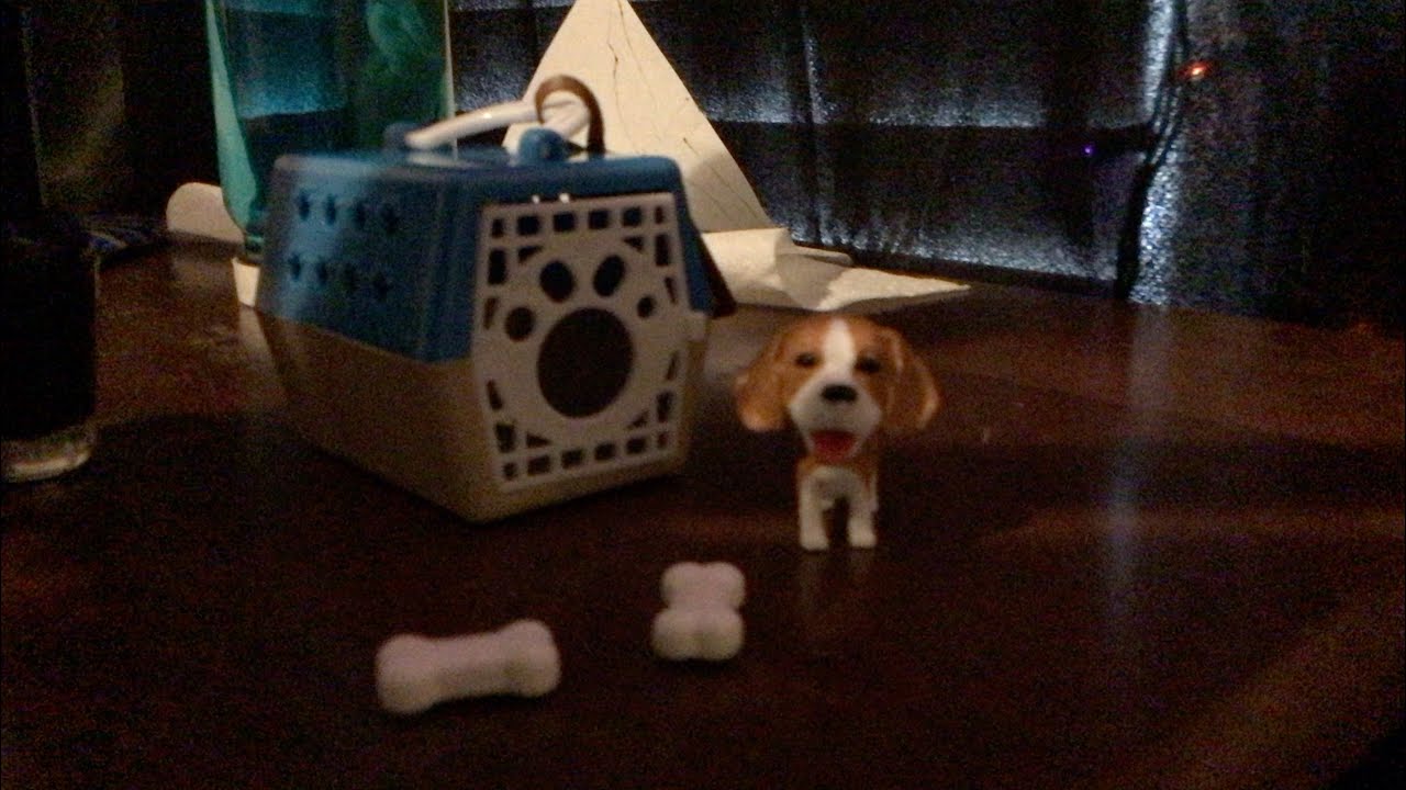 Please adopt me (Series 2) comes with bones to! - YouTube