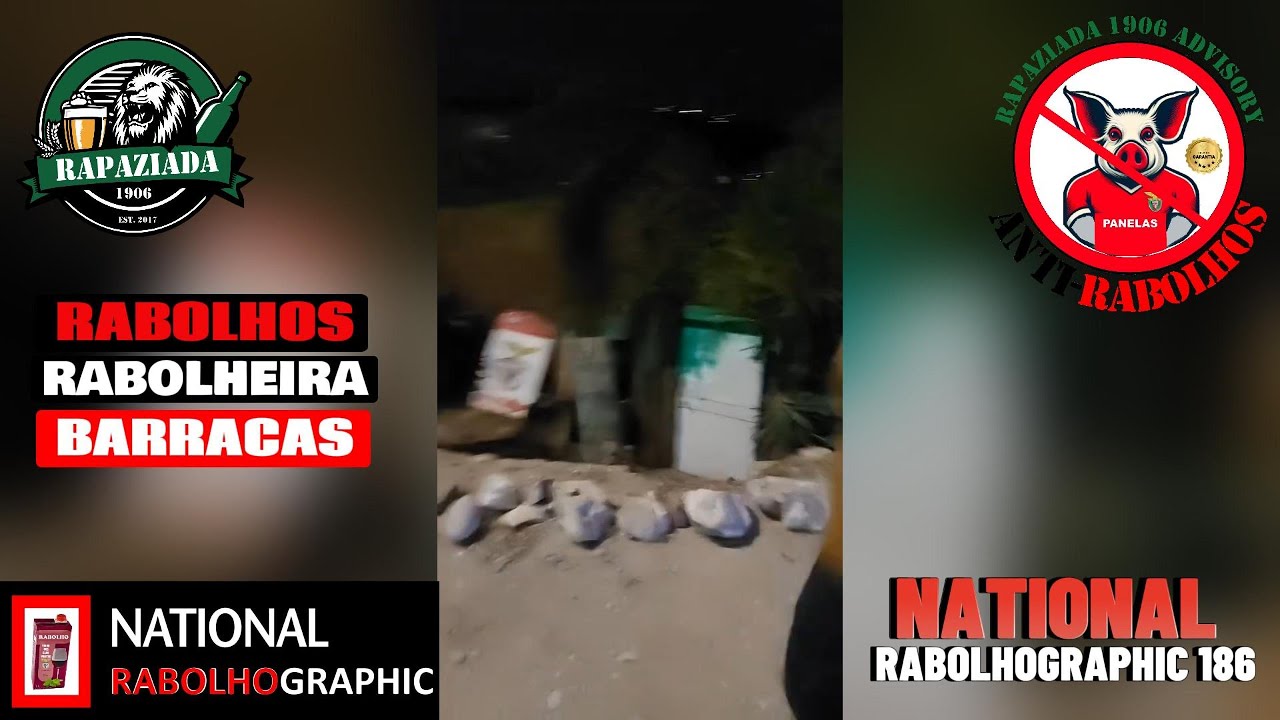 🐷 NATIONAL RABOLHOGRAPHIC 186 🐖 RABOLHOS & BARRACAS - YouTube