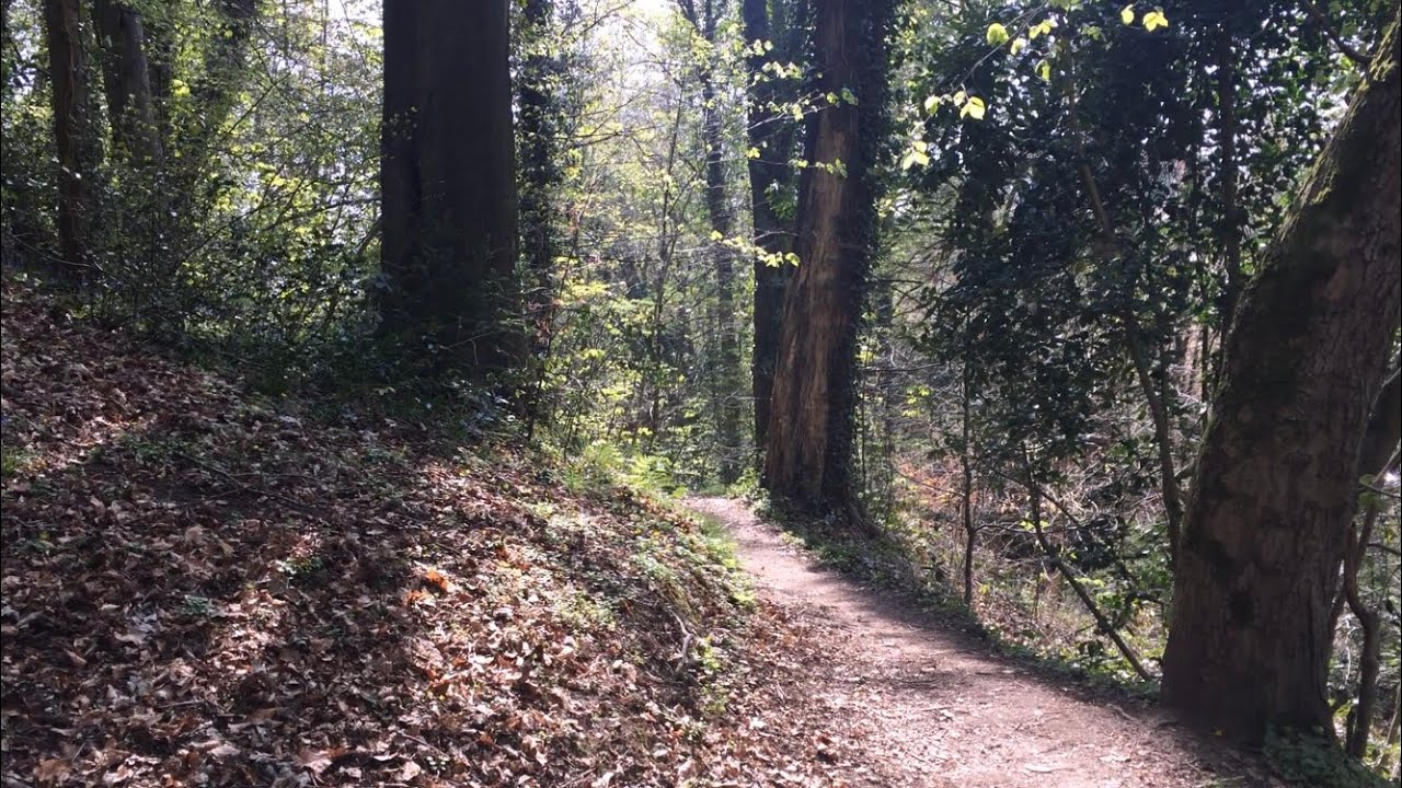 Walk around Handforth Cheshire. One for all the family! - YouTube