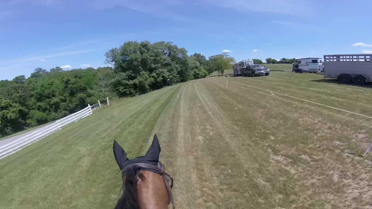 MDHT Gallop Track w/ Sleeping Fox Farm’s Arsinoe - YouTube