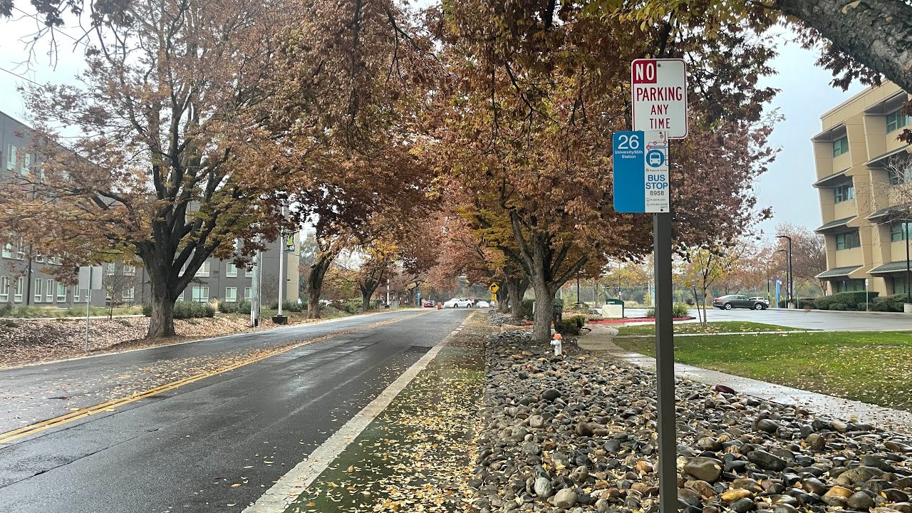 Reflective Video Blog, 12/20/23 "BEGINNING" - YouTube