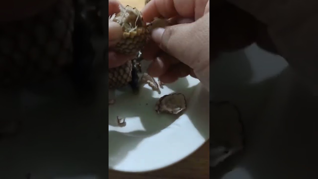 sweet seedless lituko/highland fruit @igorota highlandera #shorts # ...