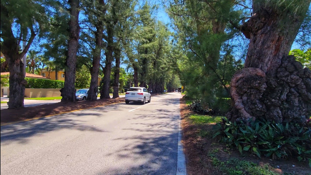 4K Pine Tree Road , Summer City Cycling Travel Tour , Miami Beach FL ...