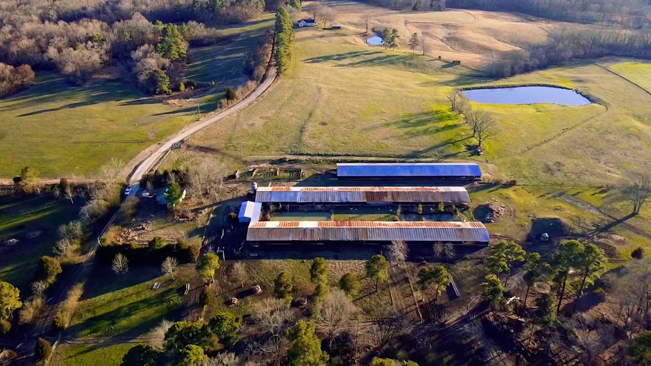 Old Chicken Farm - YouTube