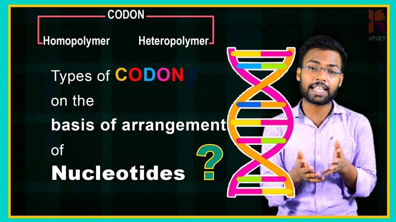 TYPES OF CODON | Biology | rPiXY - YouTube