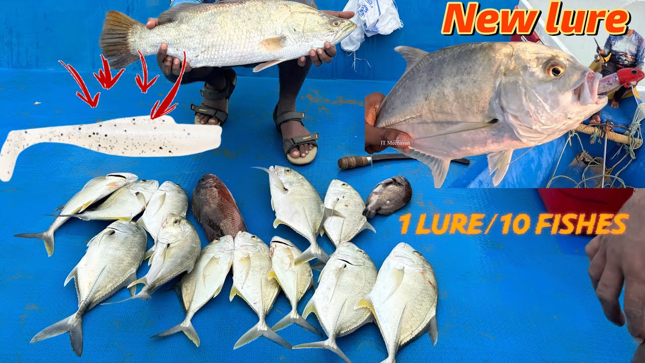 🔥கடைசி 10 நிமிடங்கள் 🎣 Landed 10 Travellies in 30 minutes 🎣 Andhra Part ...