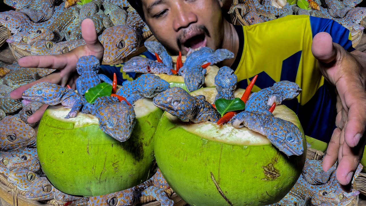 Wow! Find Gecko To Cooking Energy Food Steam Gecko With Coconut - YouTube