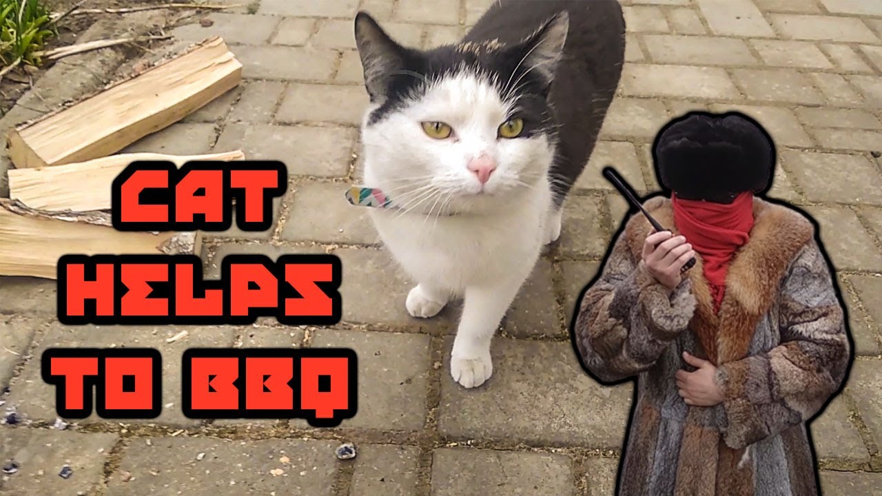 BBQ With Cat Eastern European Style - YouTube