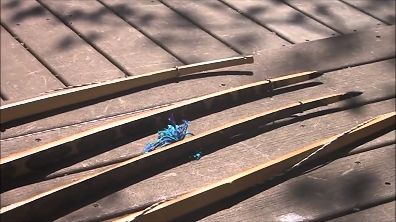 Bamboo Backed Yew, Bamboo Backed Osage and Bamboo Backed Bamboo ...