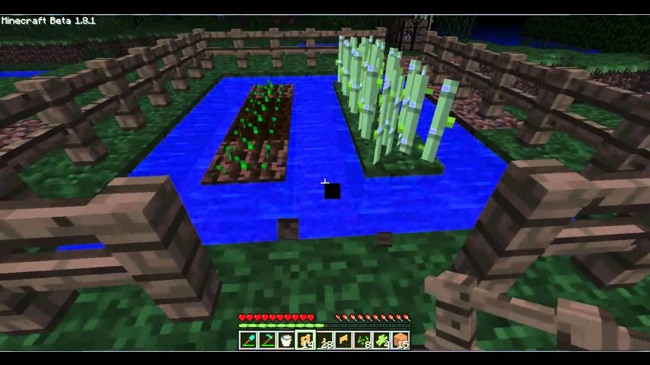 Minecraft - TUTORIAL - COME COSTRUIRE UNA COLTIVAZIONE DI GRANO E CANNA ...