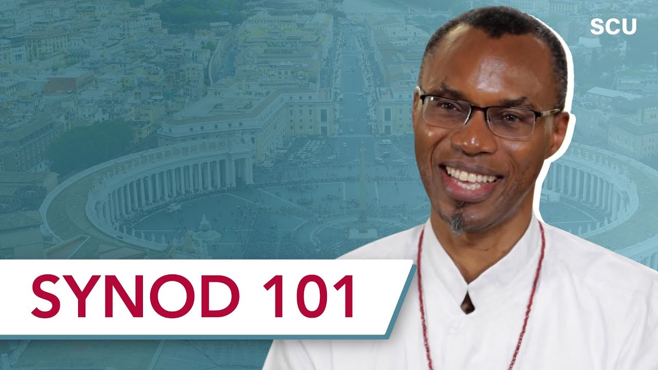 Just What is the Synod on Synodality? - YouTube