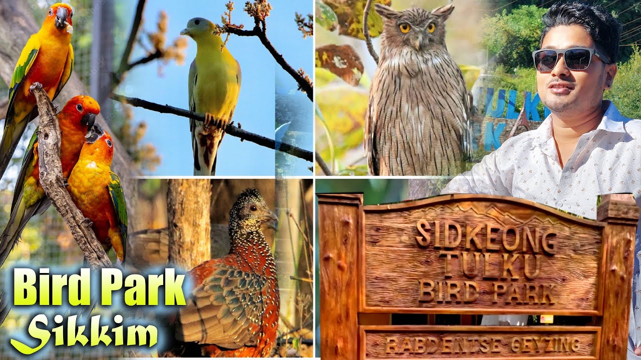SIDKEONG TULKU BIRD PARK WEST SIKKIM ||SIKKIM INDIA VLOG | Bird Park ...