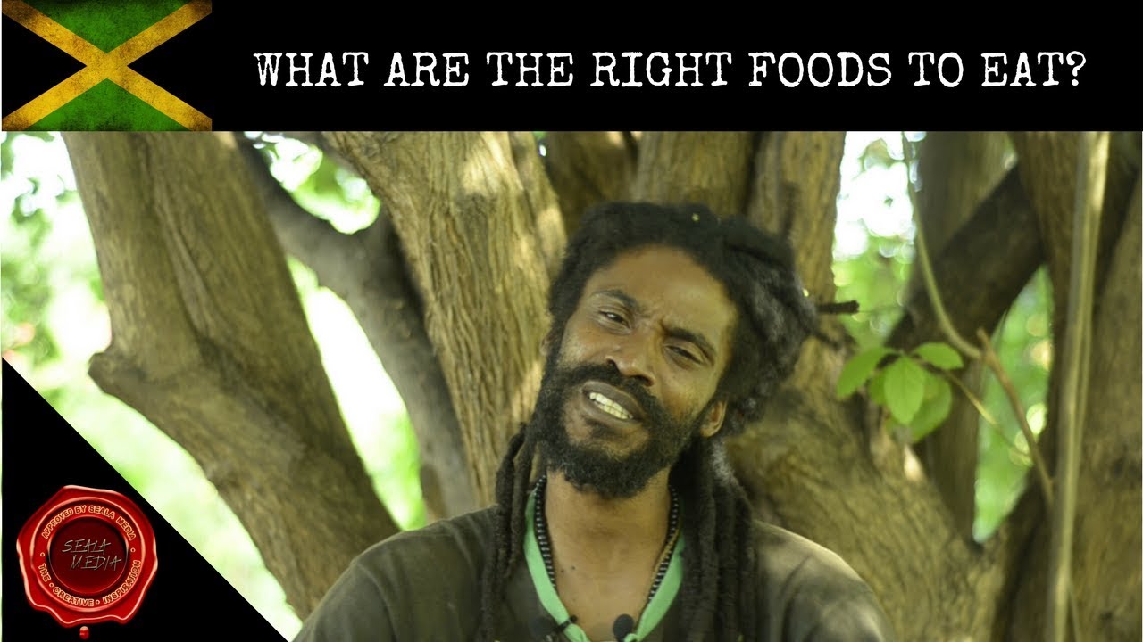 RASTA MAN REASONING ON WHAT ARE THE RIGHT FOODS TO CONSUME? - YouTube