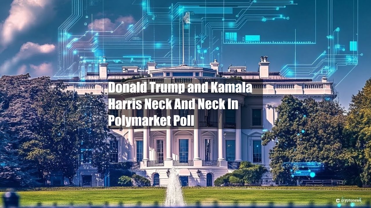 Donald Trump and Kamala Harris Neck And Neck In Polymarket Poll - YouTube