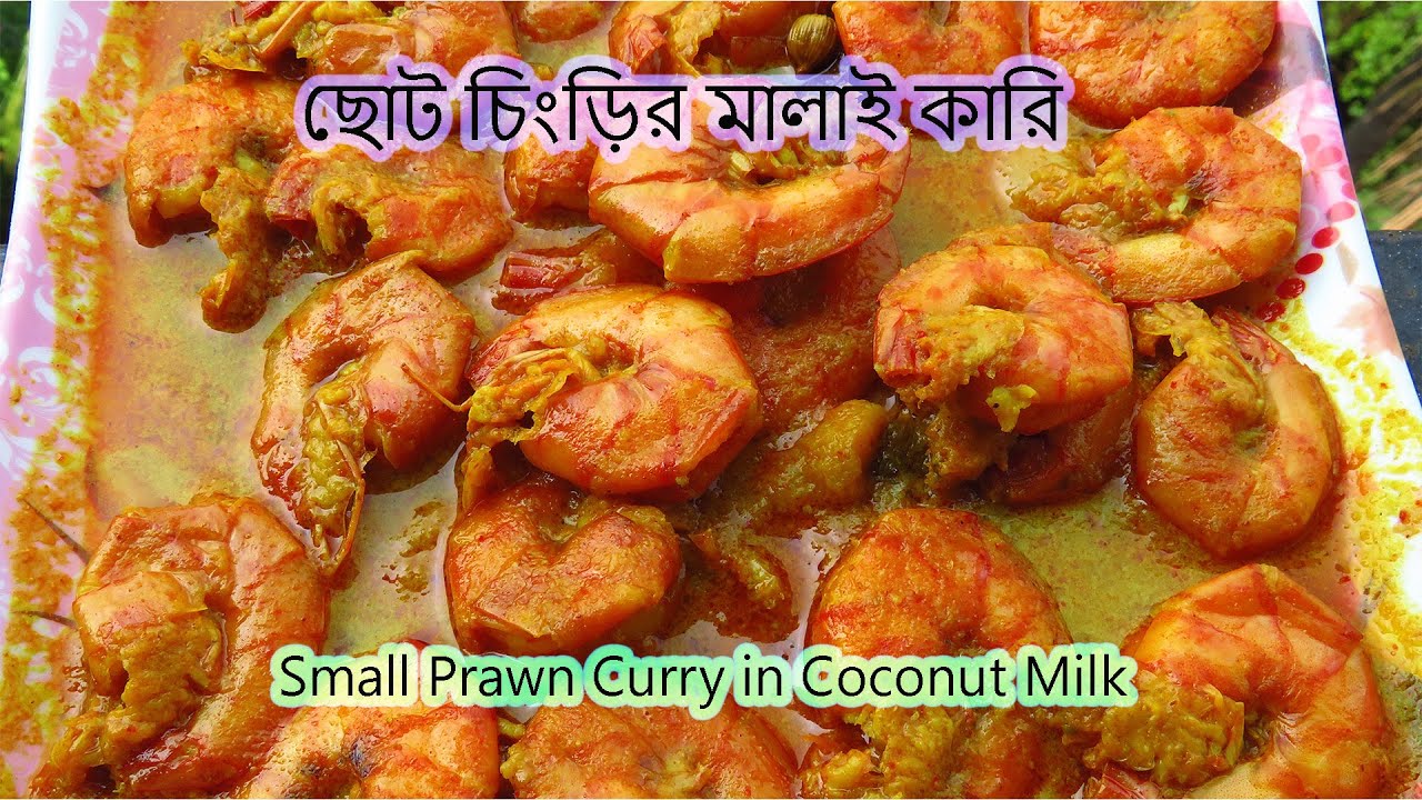 অনন্য স্বাদের ছোট চিংড়ি মাছের মালাই কারি যা হার মানাবে গলদা চিংড়িকেও ...