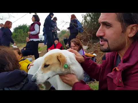 AĞVA: BUCAKLI-KİLİMLİ2
