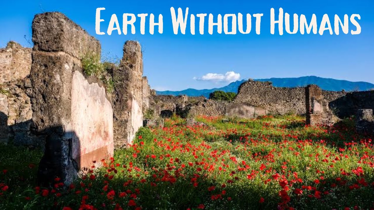 Earth without humans : A Nature’s Comeback - YouTube