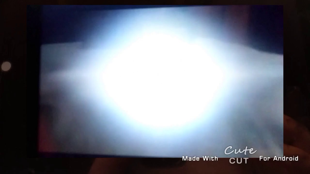 Raid Bug Screaming Spanish - YouTube